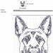 Belgian Malinois Dog Face Machine Embroidery Design, Backstitch Run: 3 ...