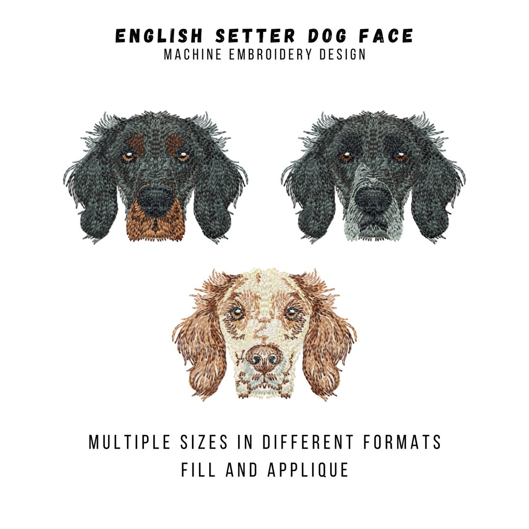 English Setter Dog Face Machine Embroidery Design (multiple Sizes) - Etsy