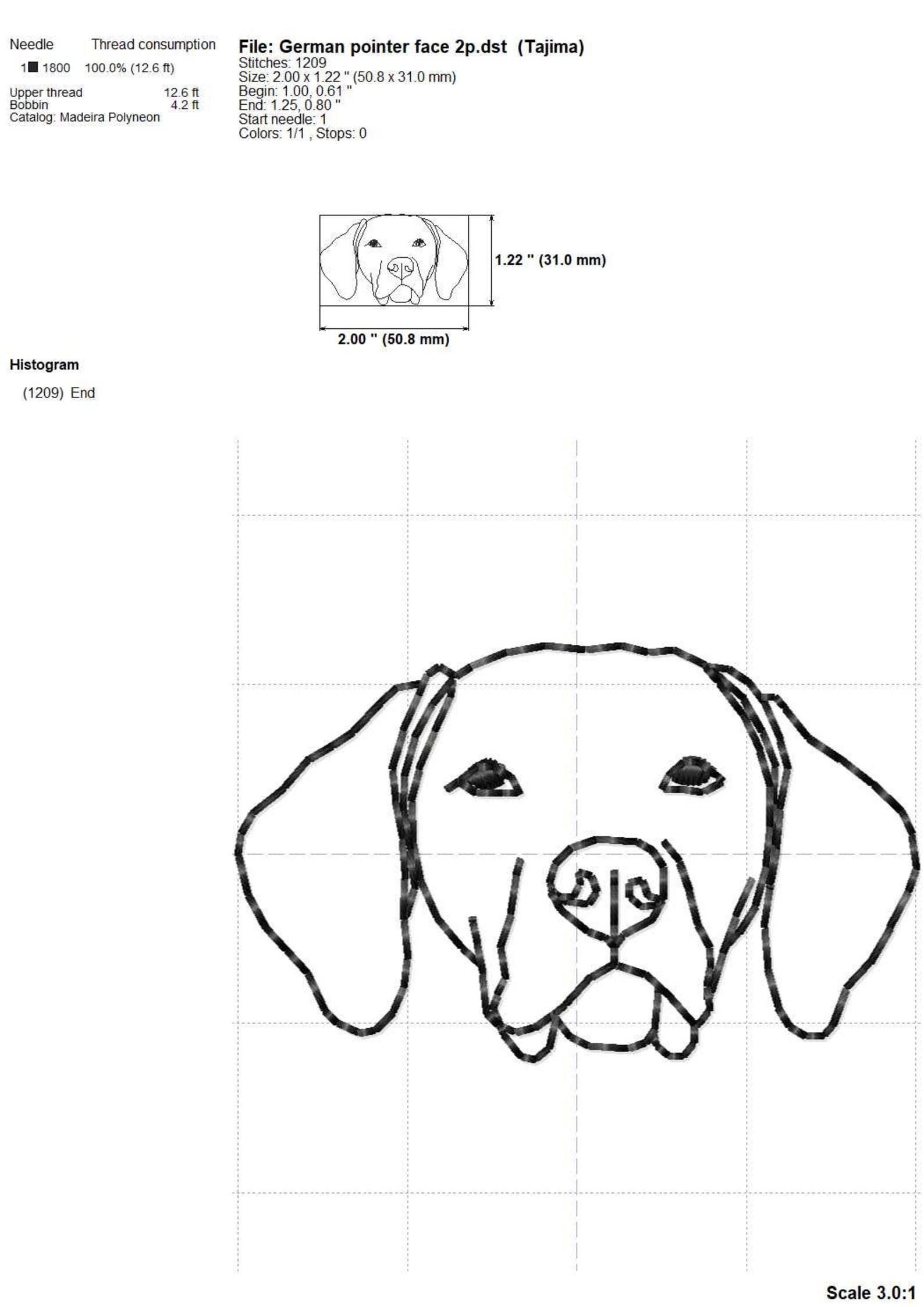 German Pointer Face Machine Embroidery Design Outline, Backstitch Run ...