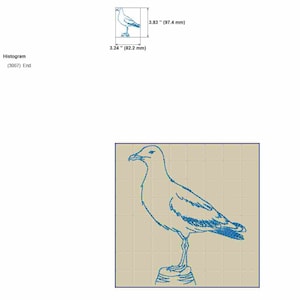 Seagull Machine Embroidery Design, Marine Bird Embroidery Pattern in ...