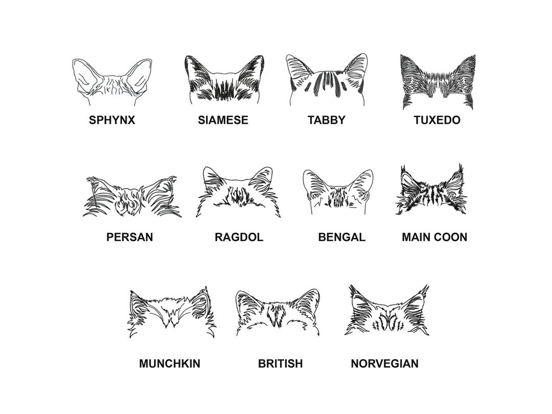 11 Cat Ears Outline Embroidery Designs Bundle: Sketch Style, Multiple ...