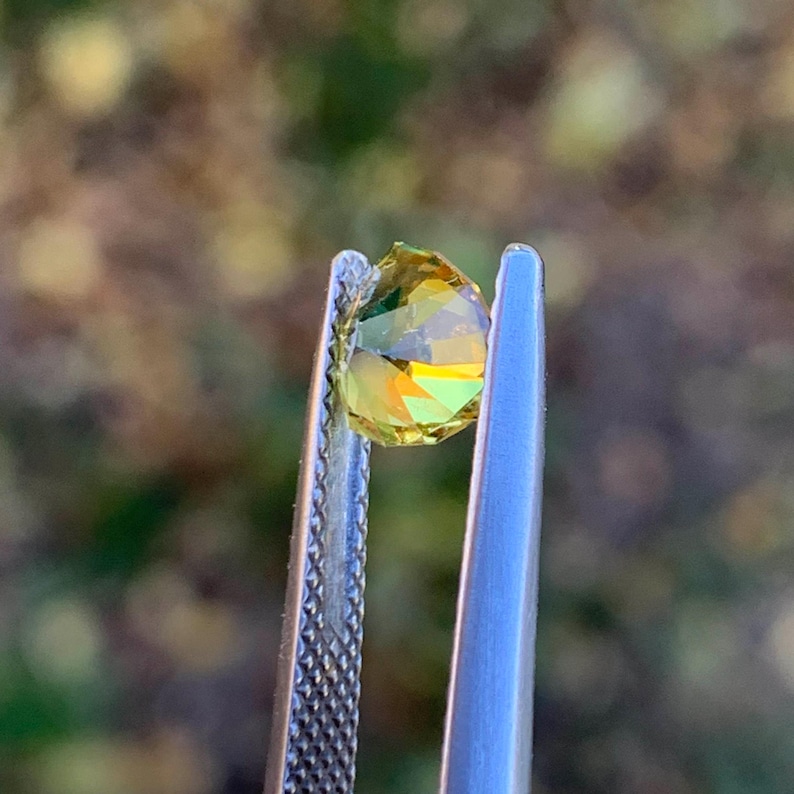 1.3ct Wattle Sapphire, Trillion, Unheated, Australia Natural Gemstone ...
