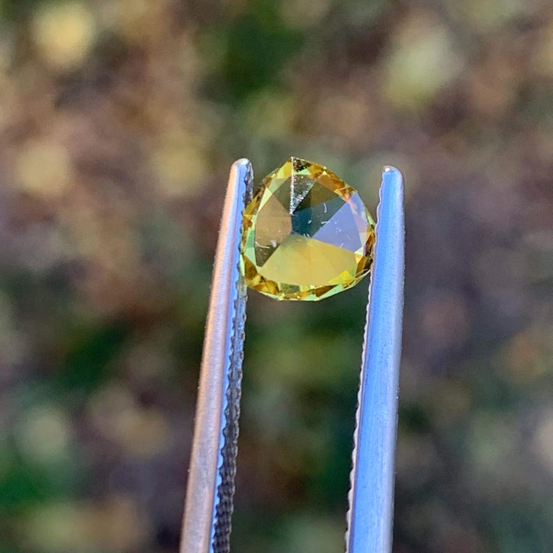 1.3ct Wattle Sapphire, Trillion, Unheated, Australia Natural Gemstone ...