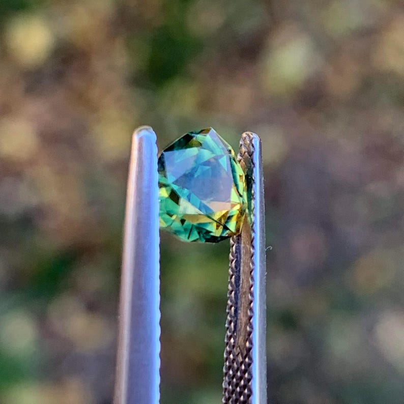 1.3ct Wattle Sapphire, Trillion, Unheated, Australia Natural Gemstone ...