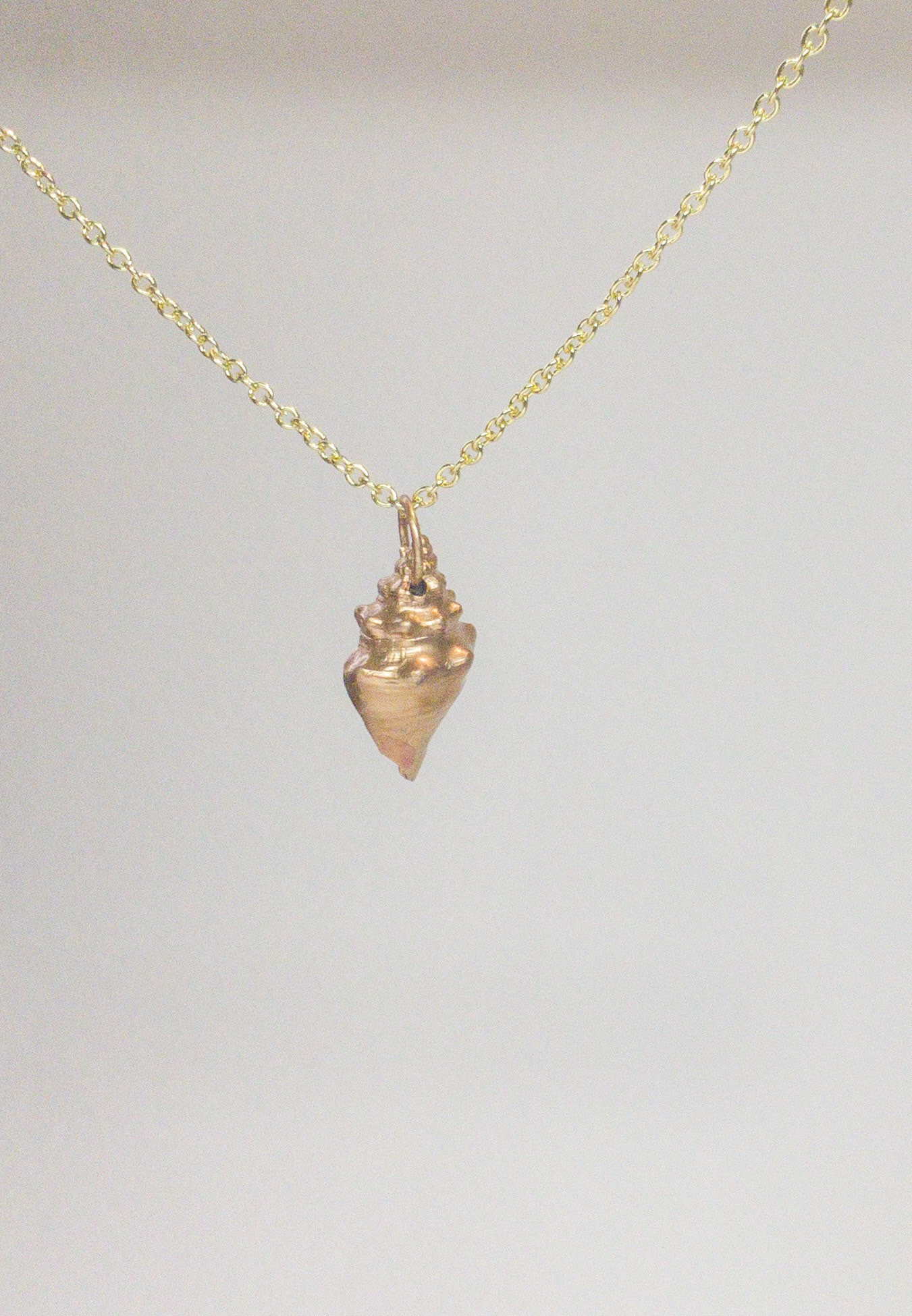 Hand Gilded Conch Necklace | Beach Necklace | Custom Ocean Necklace - Etsy