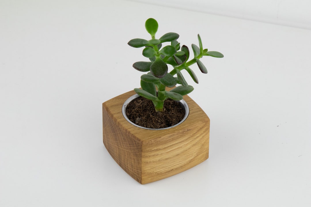 Wooden Mini Succulent Planter for Smaller Plants and Cacti, Planter Pot ...
