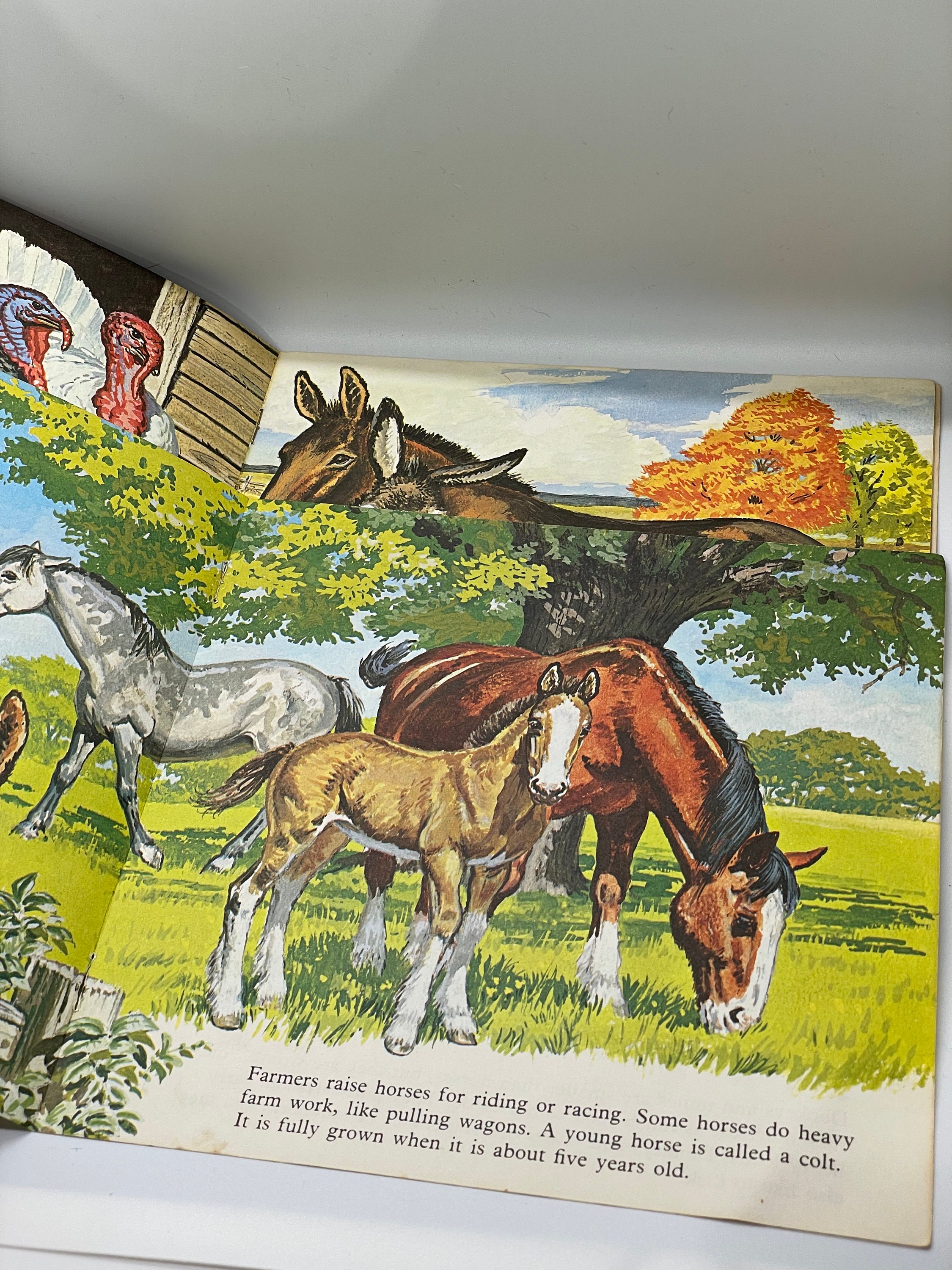 Farm Animals Book 1970’s - Etsy