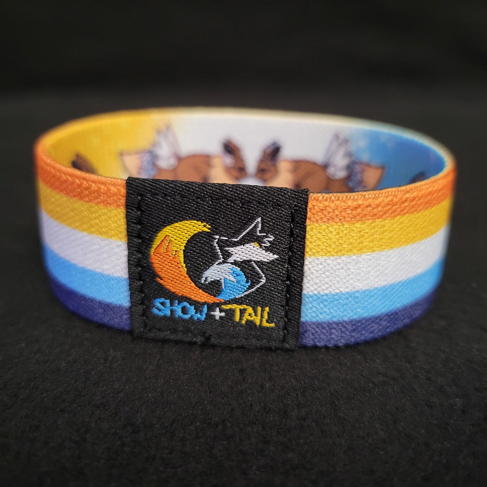 Aroace Evolve Your Colors Collection Pride Elastic - Etsy