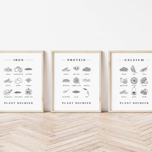 Protein Poster - Etsy