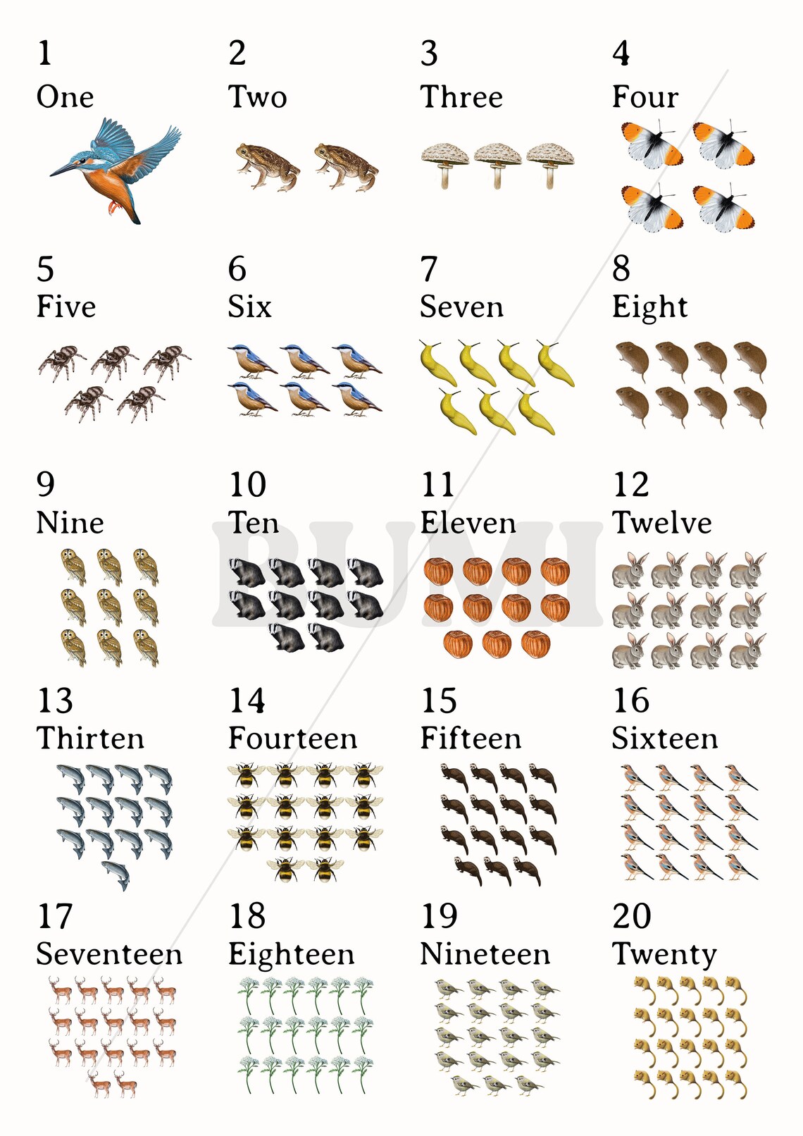 Woodland Number Chart - 1-20 - Artwork/poster/print (A4/A3/A2) - Etsy