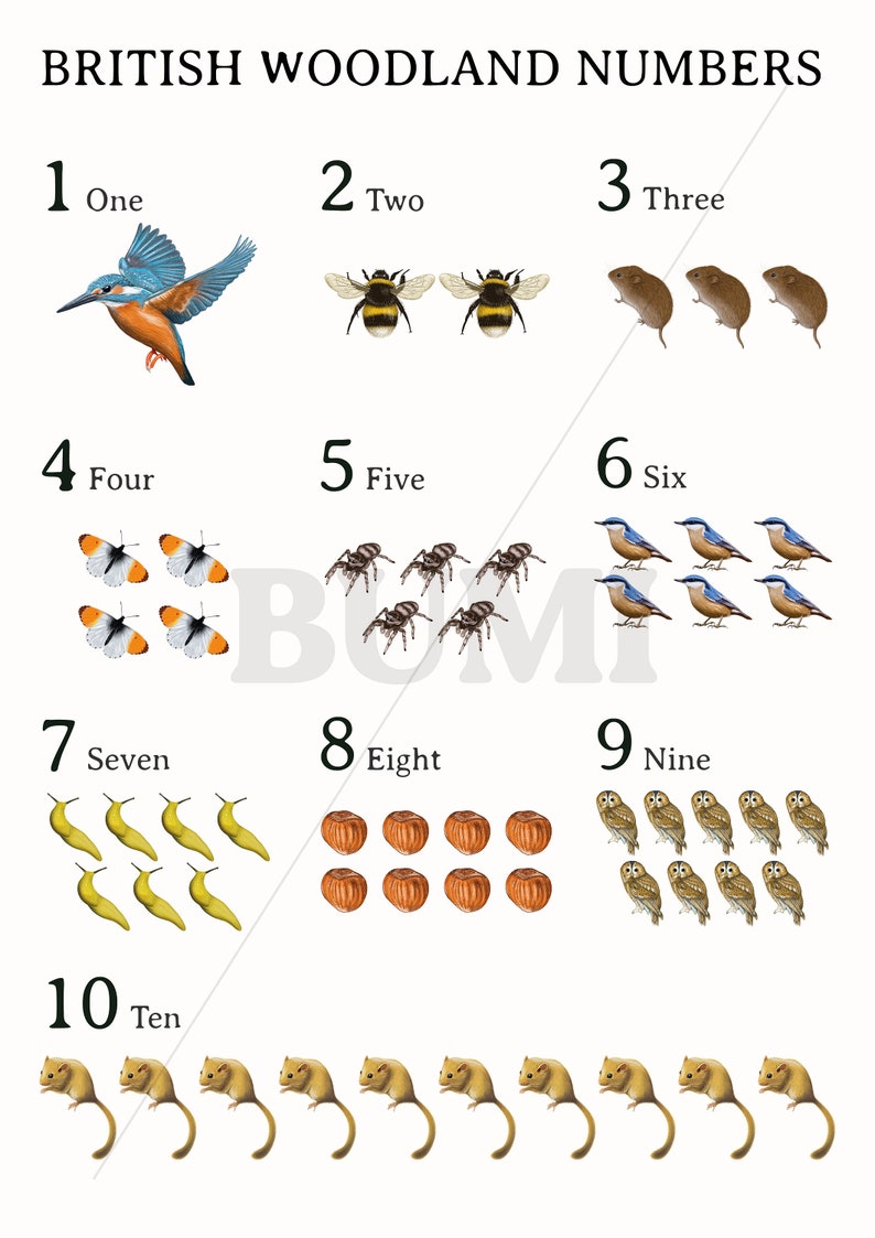 Woodland Number Chart 1-10 - Artwork/poster/print (A4/A3) - Etsy
