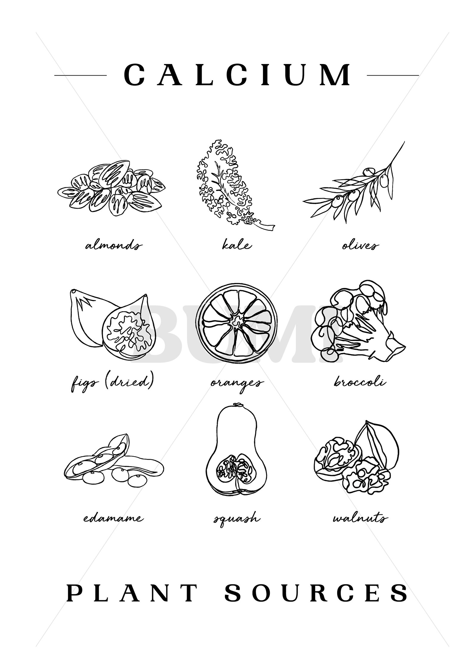 Calcium Nutrition Print - Artwork/poster/print (A4/A3) - Etsy
