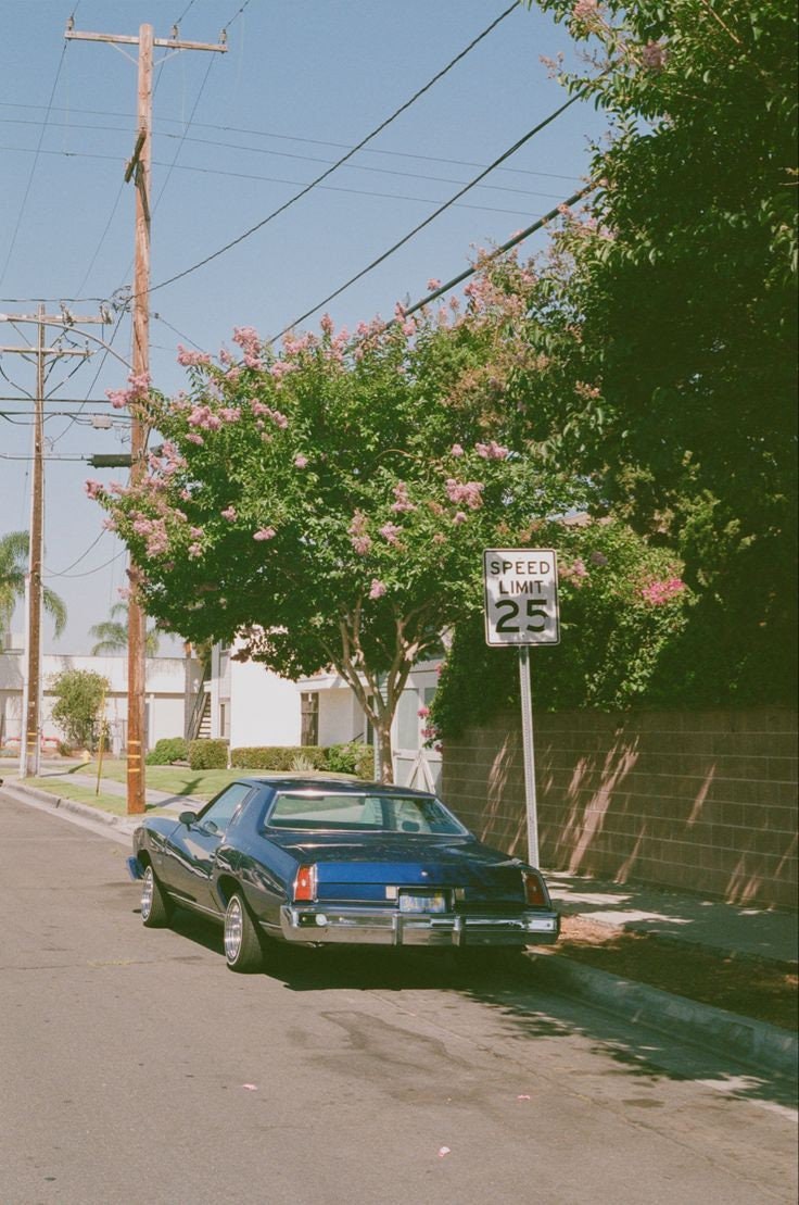 60 Fujifilm Luts,fuji Camera,pfe Film Emulation,super 16 Filters ...