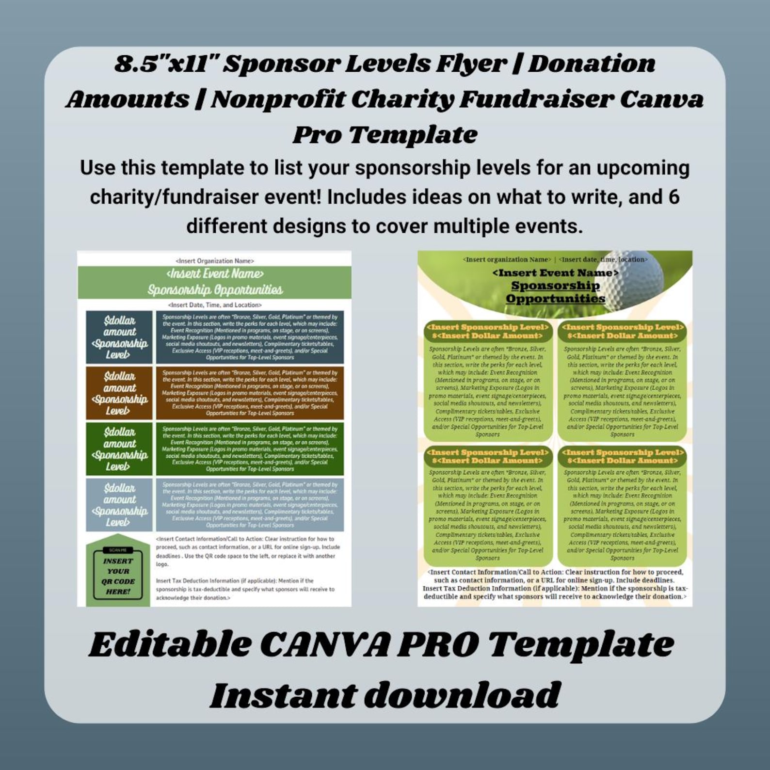 8.5"x11" Sponsor Levels Flyer | Donation Amounts | Nonprofit Charity ...