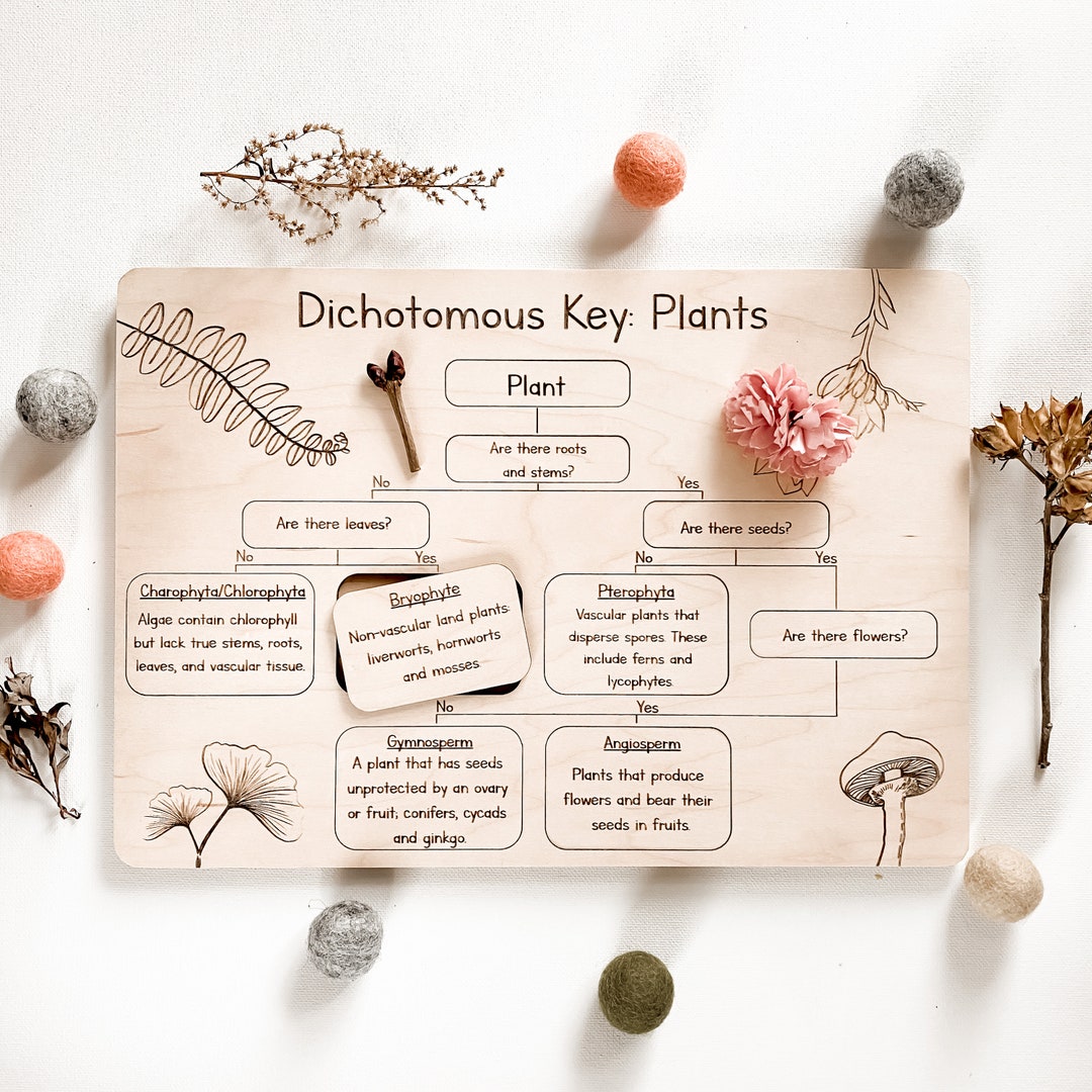 SVG DIGITAL FILE Only Dichotomous Key Plants Puzzle - Etsy Hong Kong