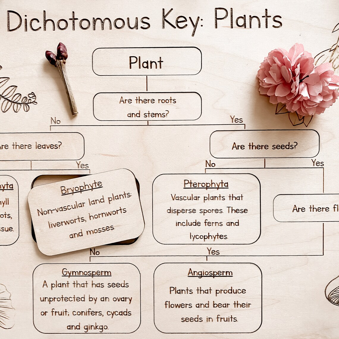 SVG DIGITAL FILE Only Dichotomous Key Plants Puzzle - Etsy