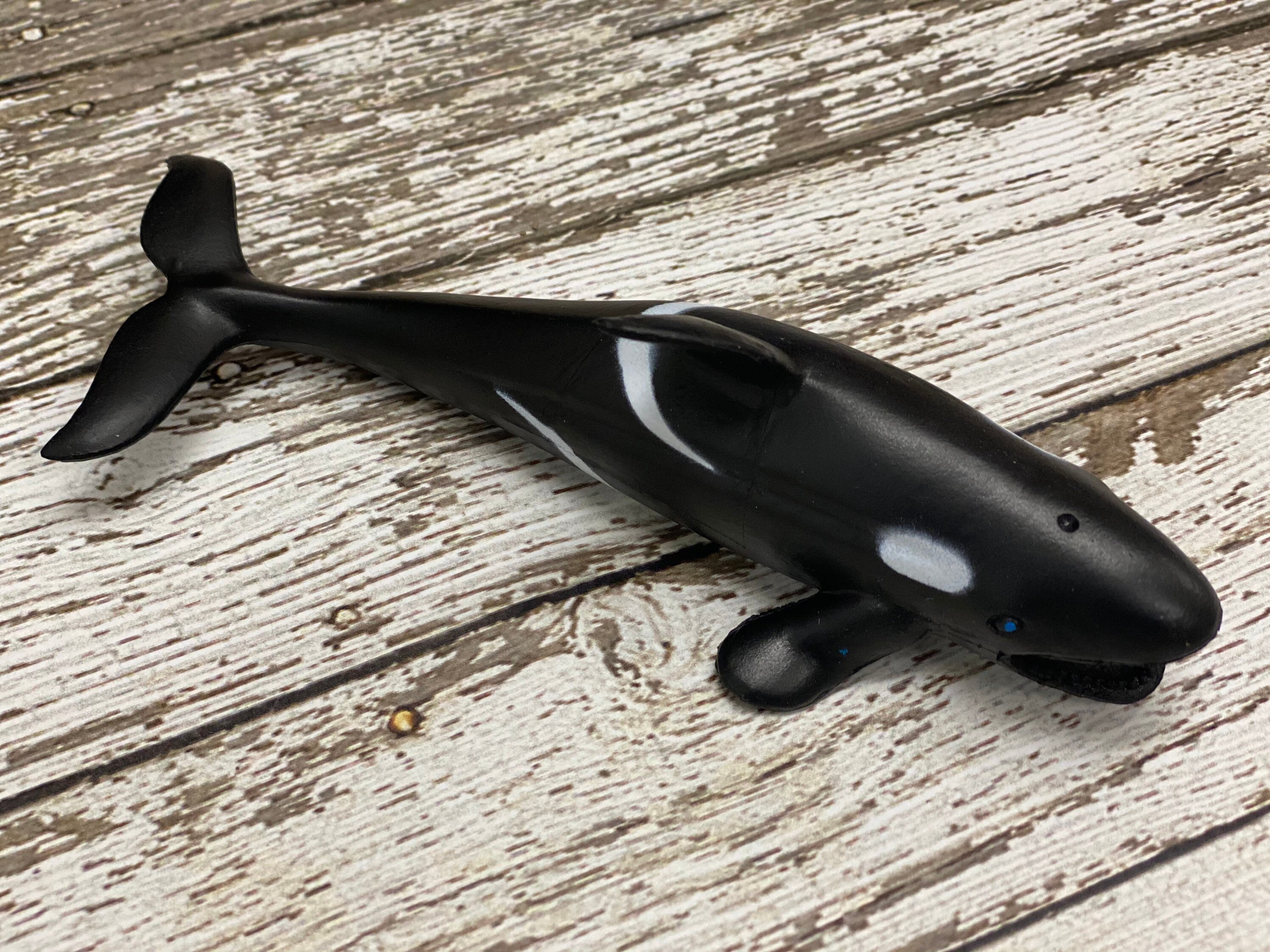 Shark Bundle Box Shark Lover Box Shark Lovers Toys Shark Mask - Etsy