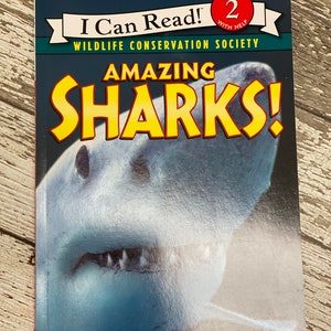 Shark Bundle Box Shark Lover Box Shark Lovers Toys Shark Mask Shark ...