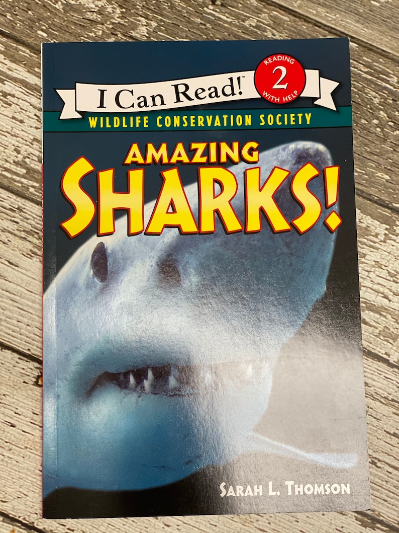 Shark Bundle Box Shark Lover Box Shark Lovers Toys Shark Mask - Etsy