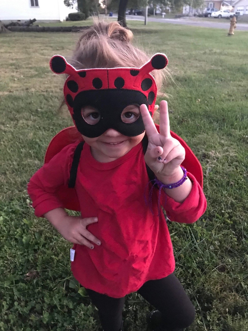 Ladybug Mask Ladybug Wings Ladybug Costume Ladybird Beetle - Etsy
