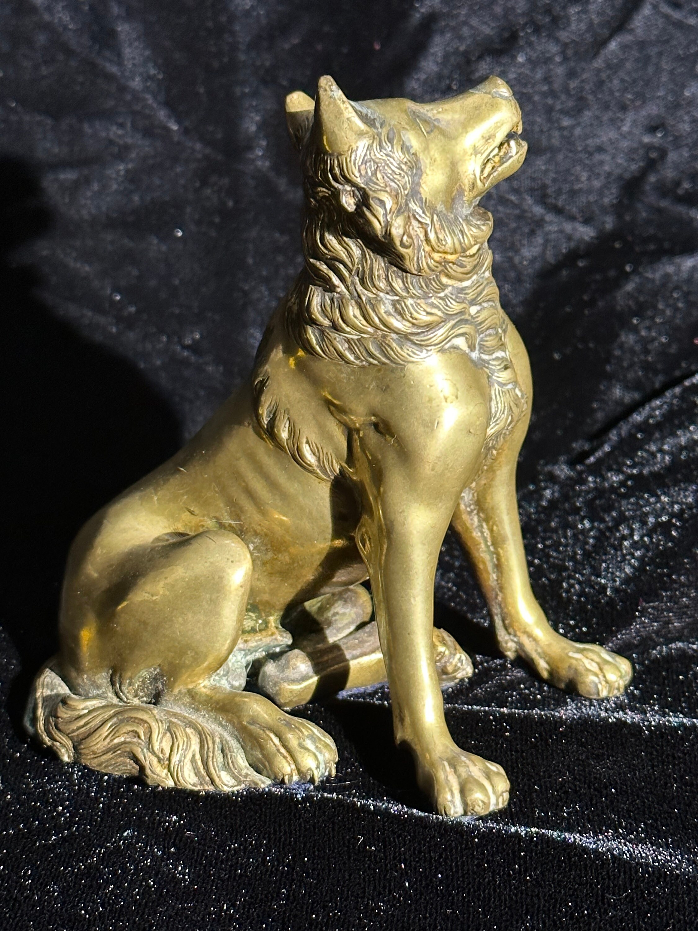 Grand Tour Dog of Alcibiades Paper Weight also Called the Duncombe Dog ...