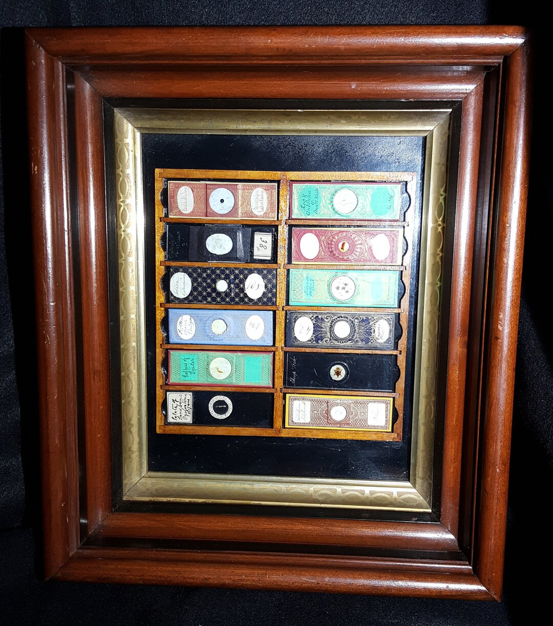 Framed Antique Victorian Microscope Slide Display (alpha Example) - Etsy