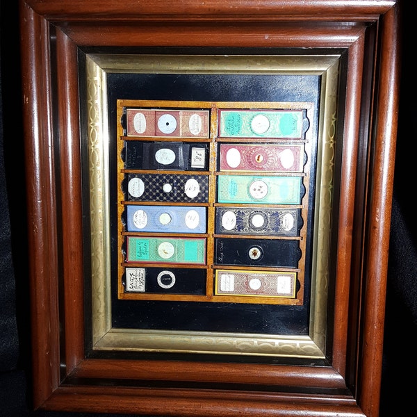 Microscope Slides - Etsy