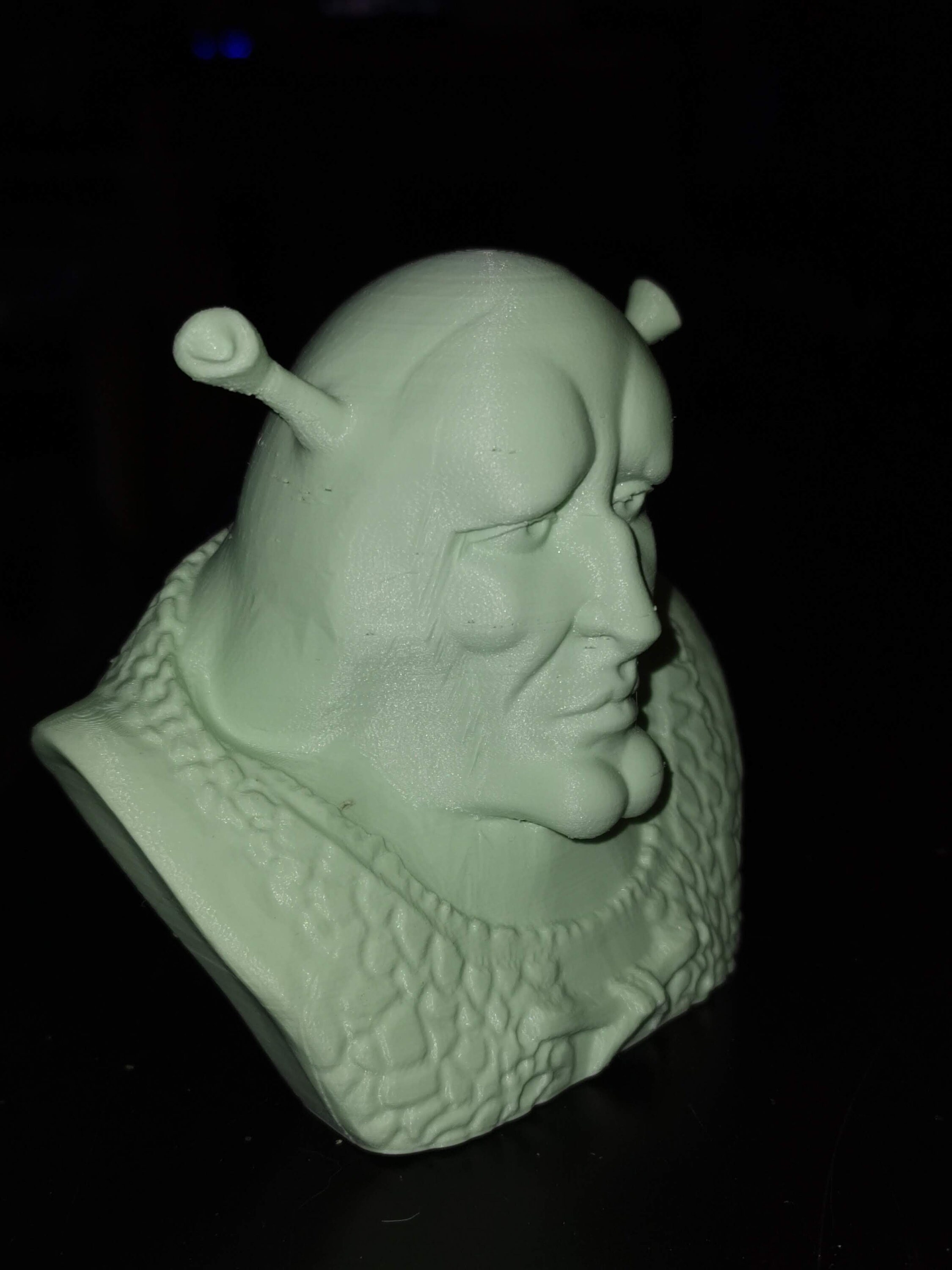 Handsome Shrek / Squidward Bust 3D Printed Painted or | Etsy Canada