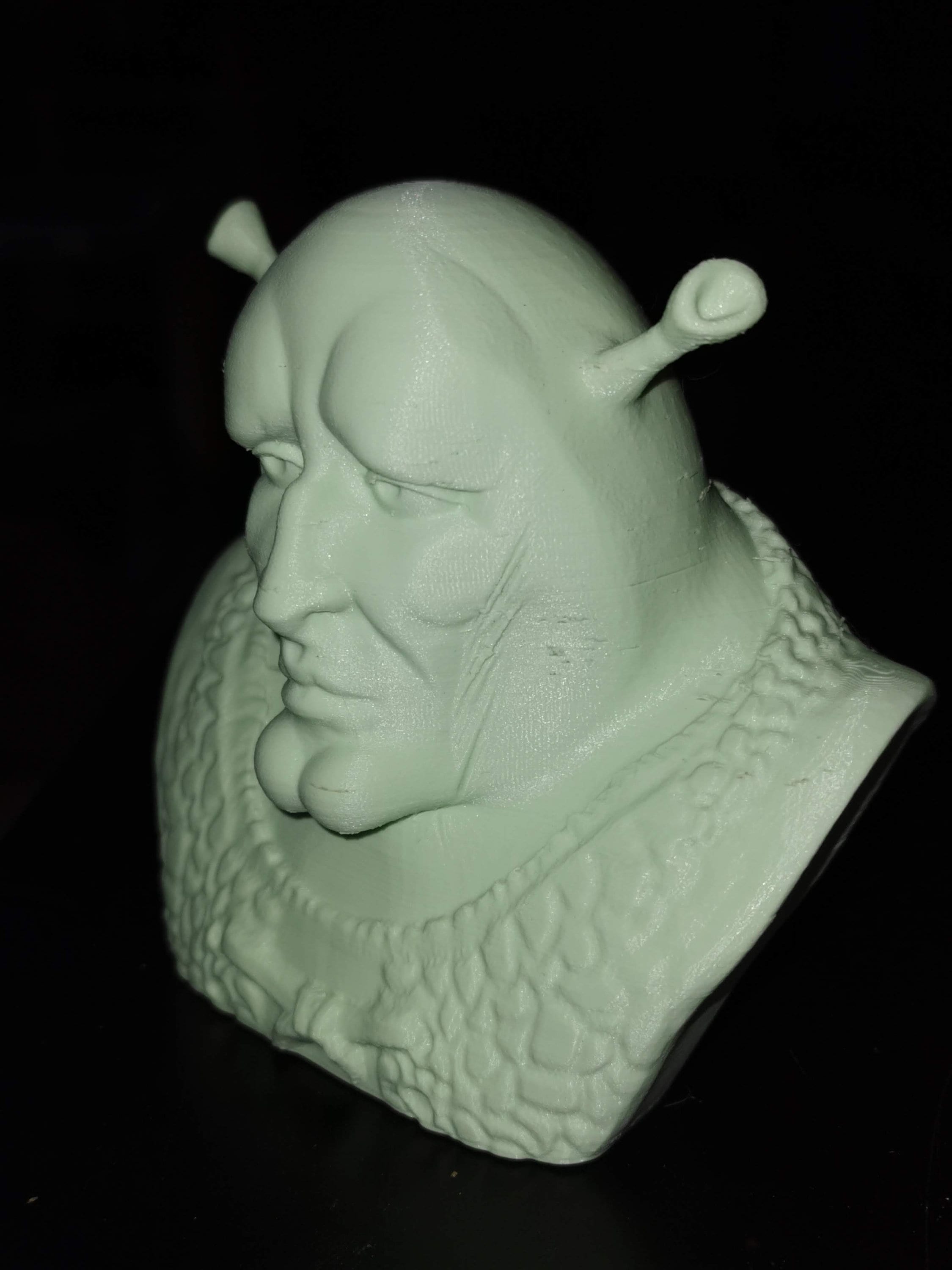 Handsome Shrek / Squidward Bust 3D Printed Painted or | Etsy Canada