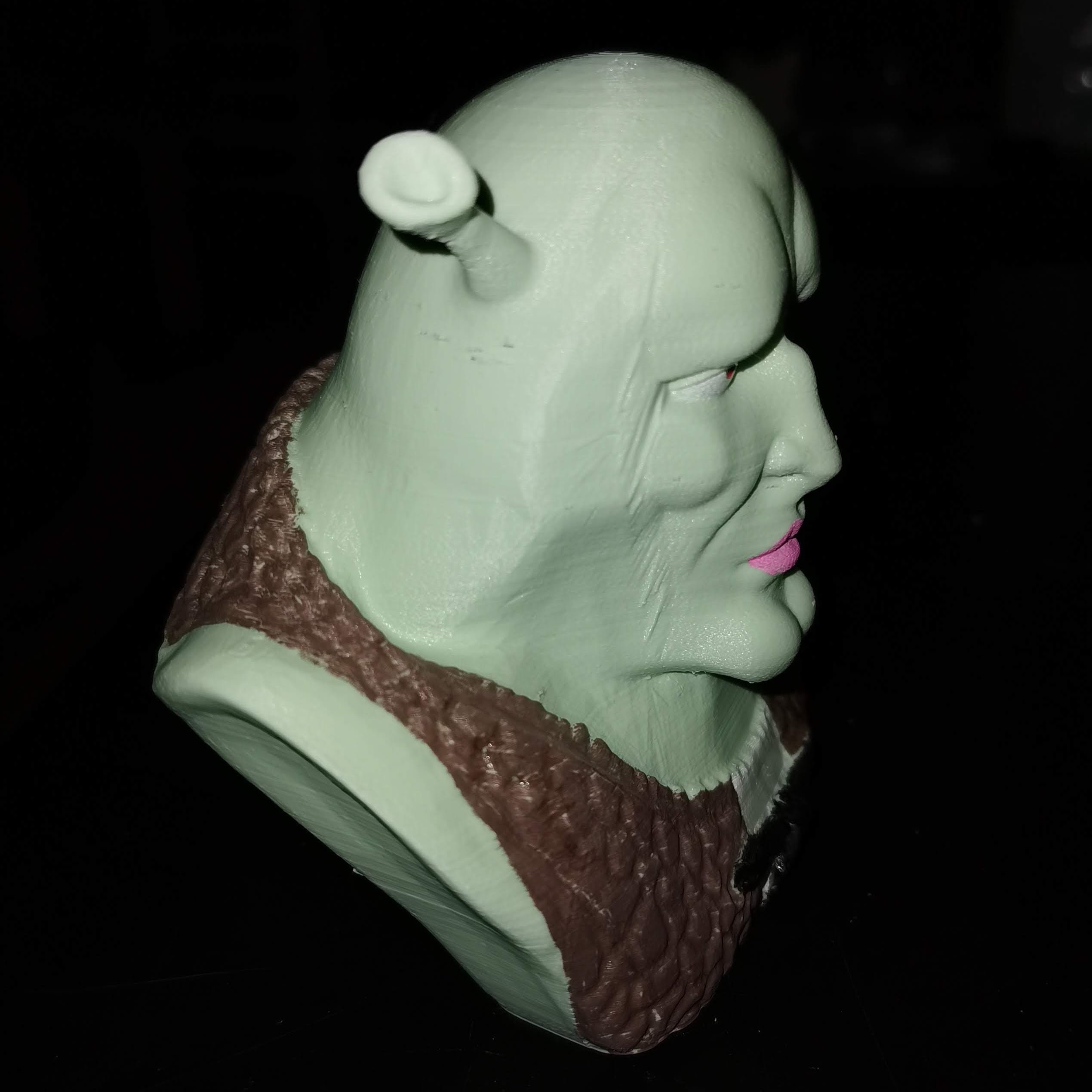 Handsome Shrek / Squidward Bust 3D Printed Painted or | Etsy Canada