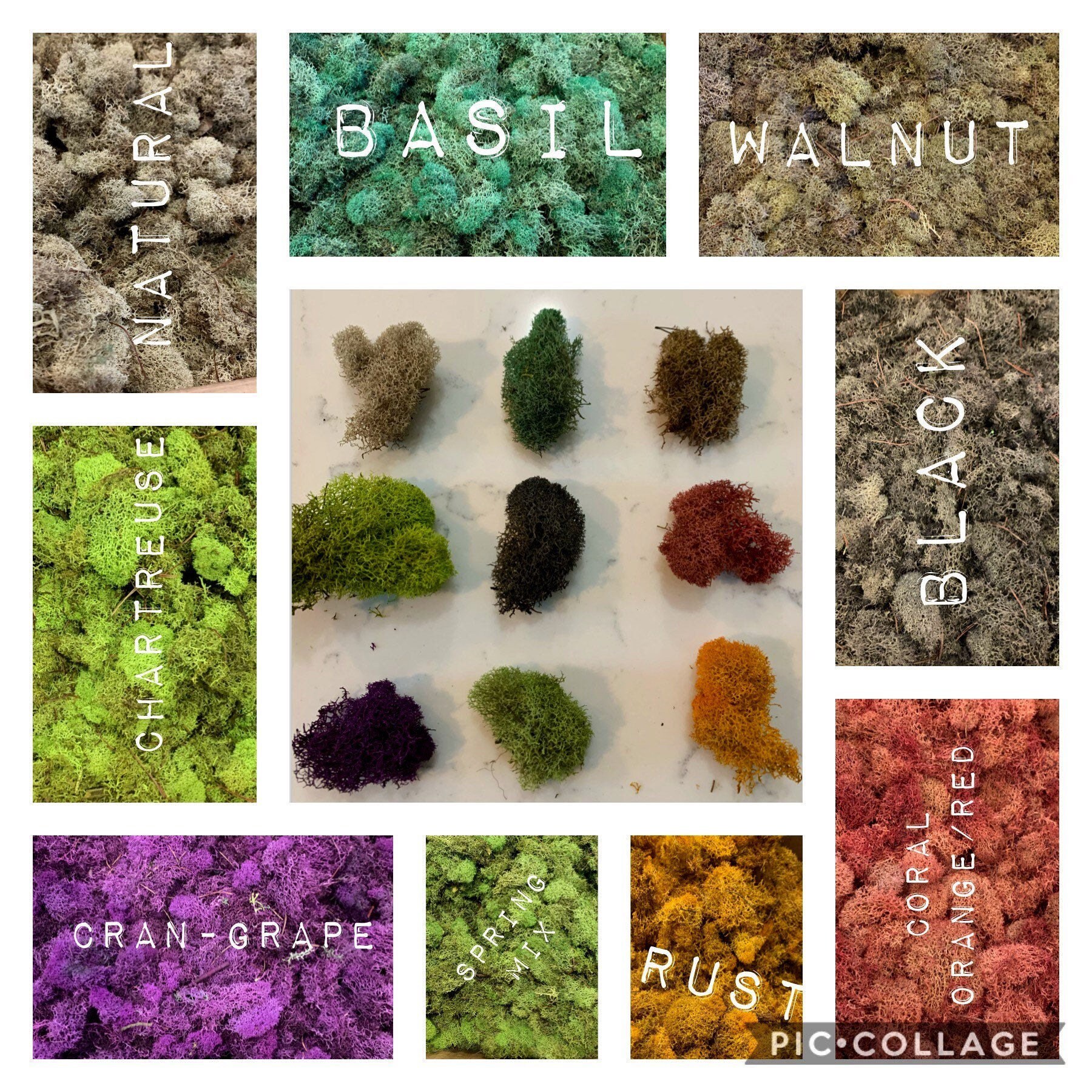 Monogrammed Moss Wall Art and Uppercase Letter Frame/wall Art/gift ...