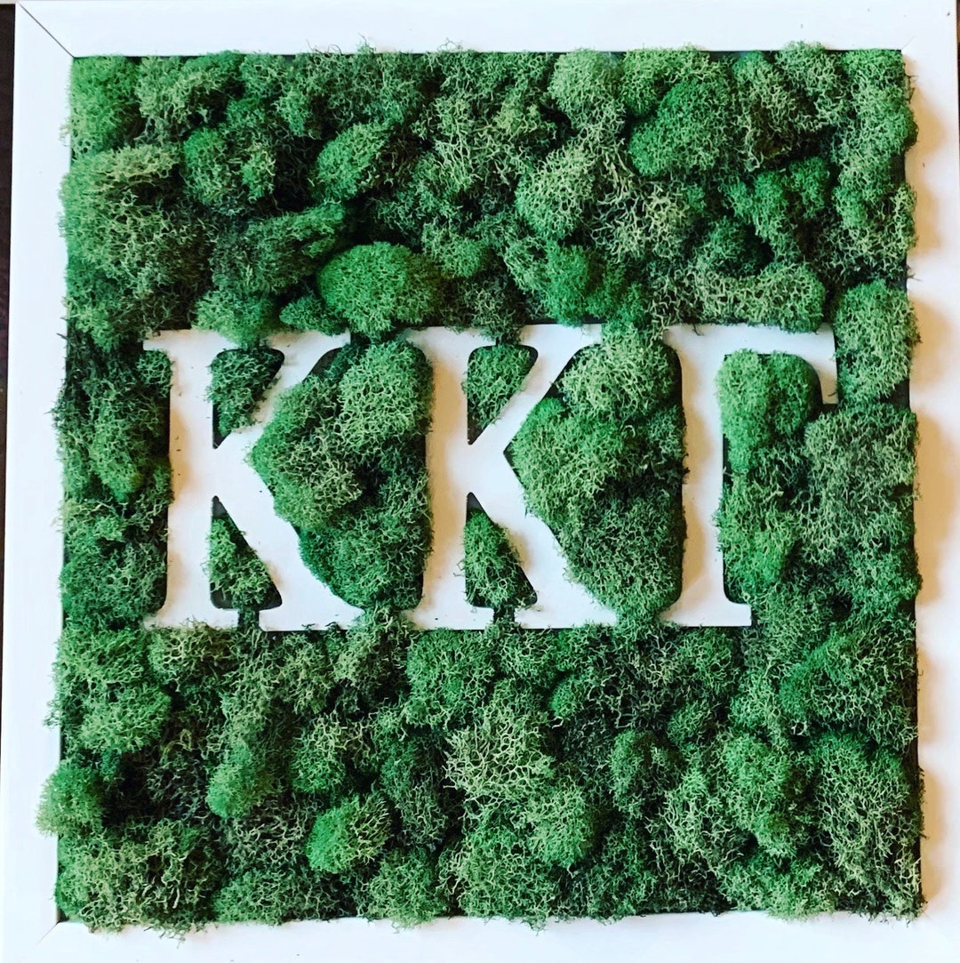Monogrammed Moss Wall Art Greek Letters Frame/ Wall Art/ Gift Ideas - Etsy