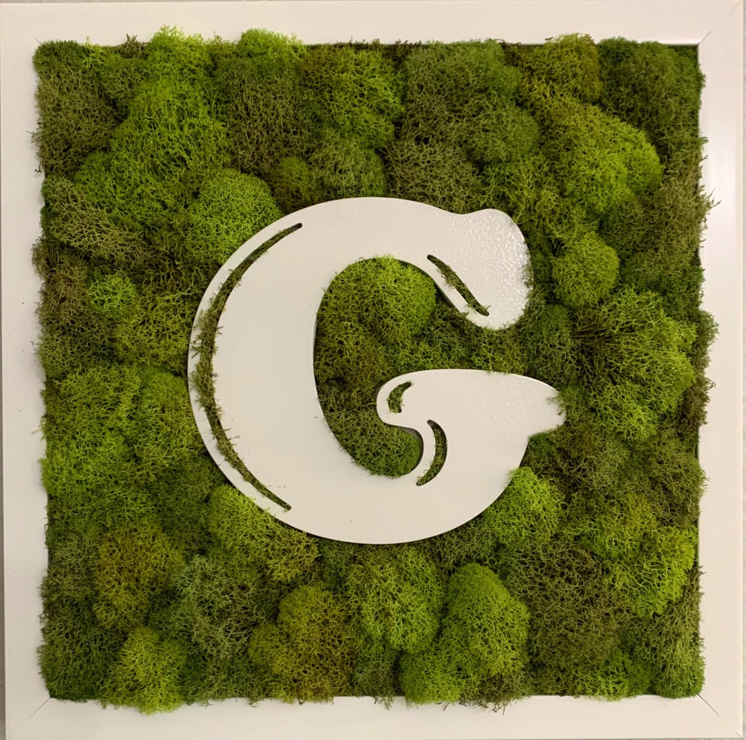 Monogrammed Moss Wall Art and Uppercase Letter Frame/wall Art/gift ...
