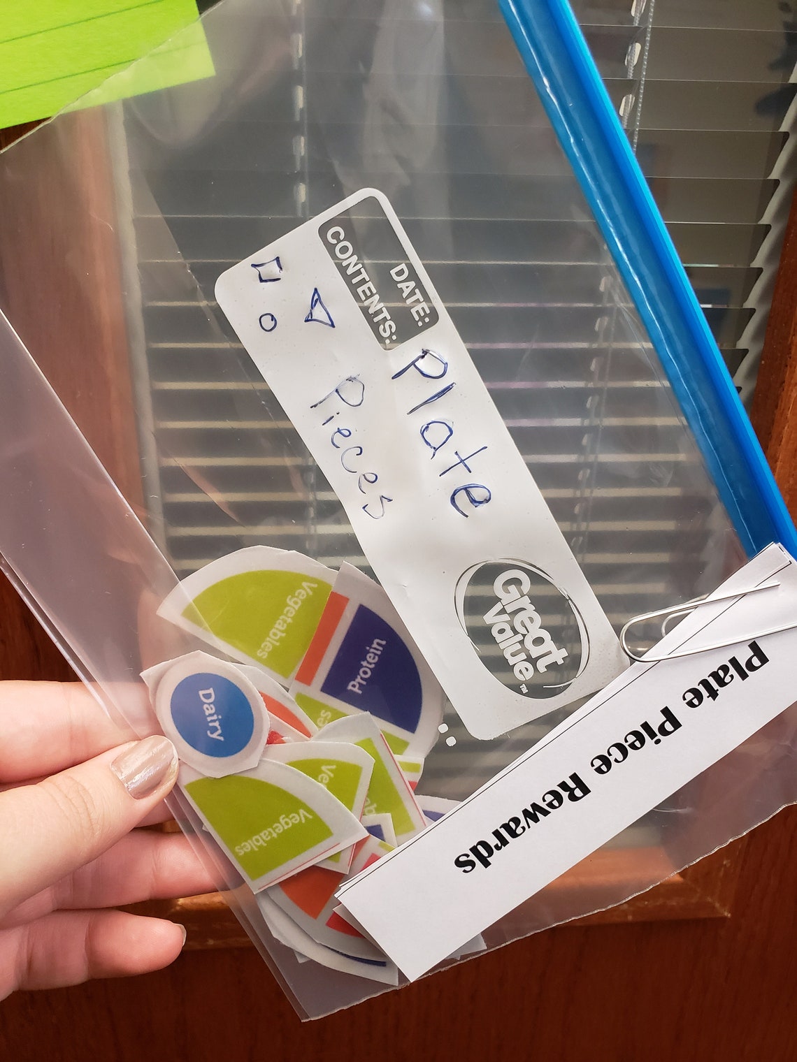 My Plate Activity Printable (based on USDA My Plate) - Etsy