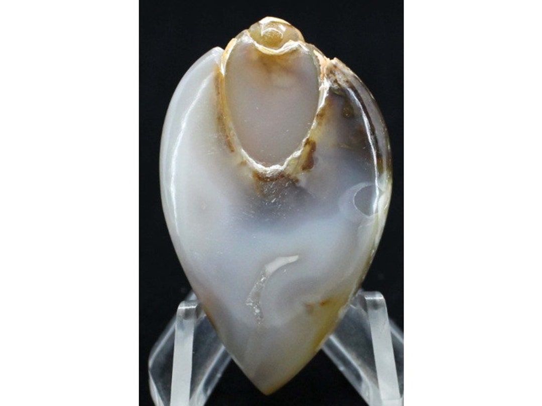 64.00 Cts AAA Quality Natural Agatized Snail Druzy Agate Cabochon ...