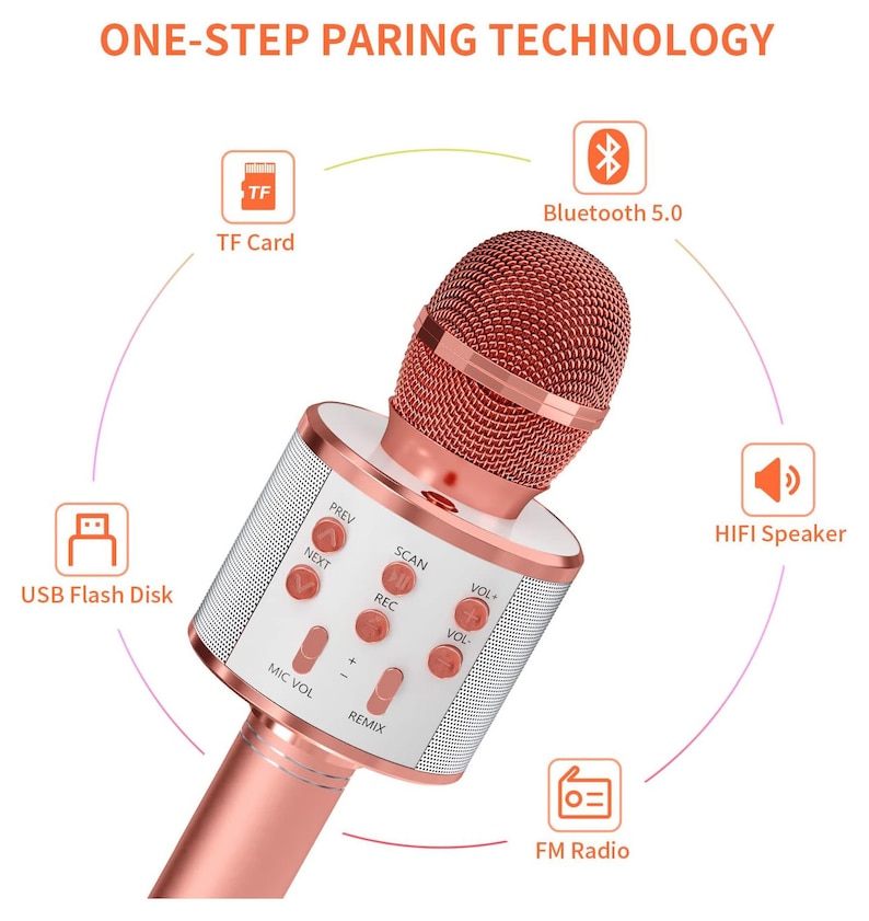 Personalized BLUETOOTH MIC Microphone Karaoke Singing Singer Birthday ...