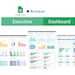 CEO Executive Dashboard - Excel Template | Financial Dashboard ...