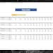 CEO Executive Dashboard - Excel Template | Financial Dashboard ...