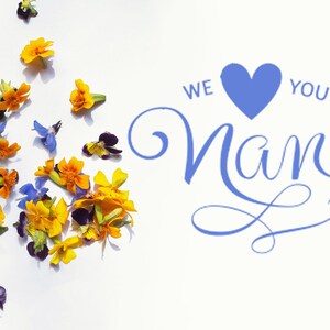 Grandmother Grandma Nanny Nana BIG SIZES Art Craft Reusable Mylar ...