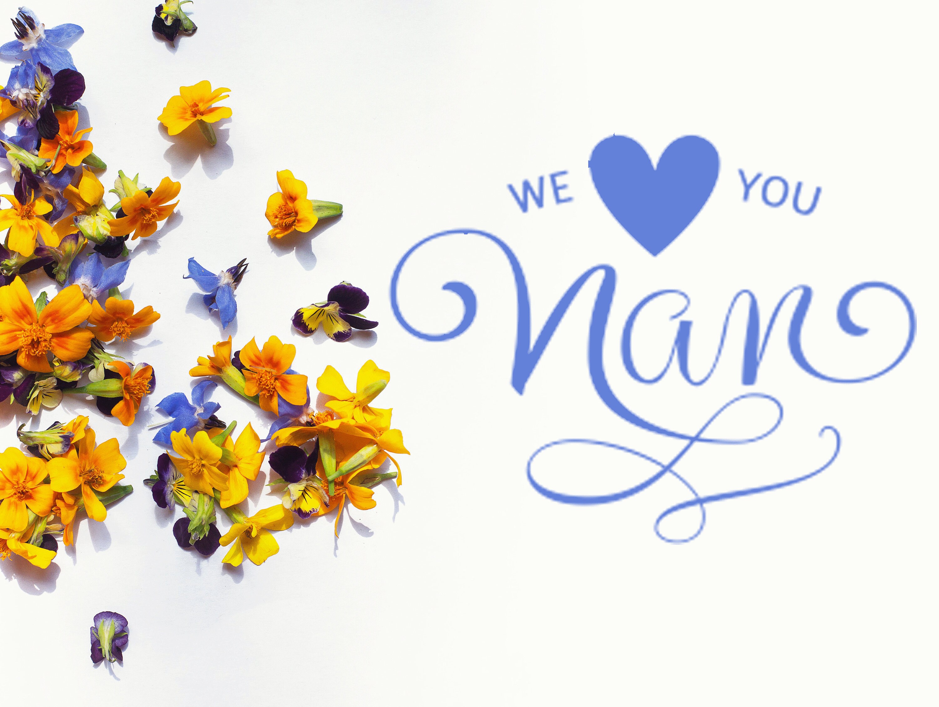 Grandmother Grandma Nanny Nana BIG SIZES Art Craft Reusable - Etsy