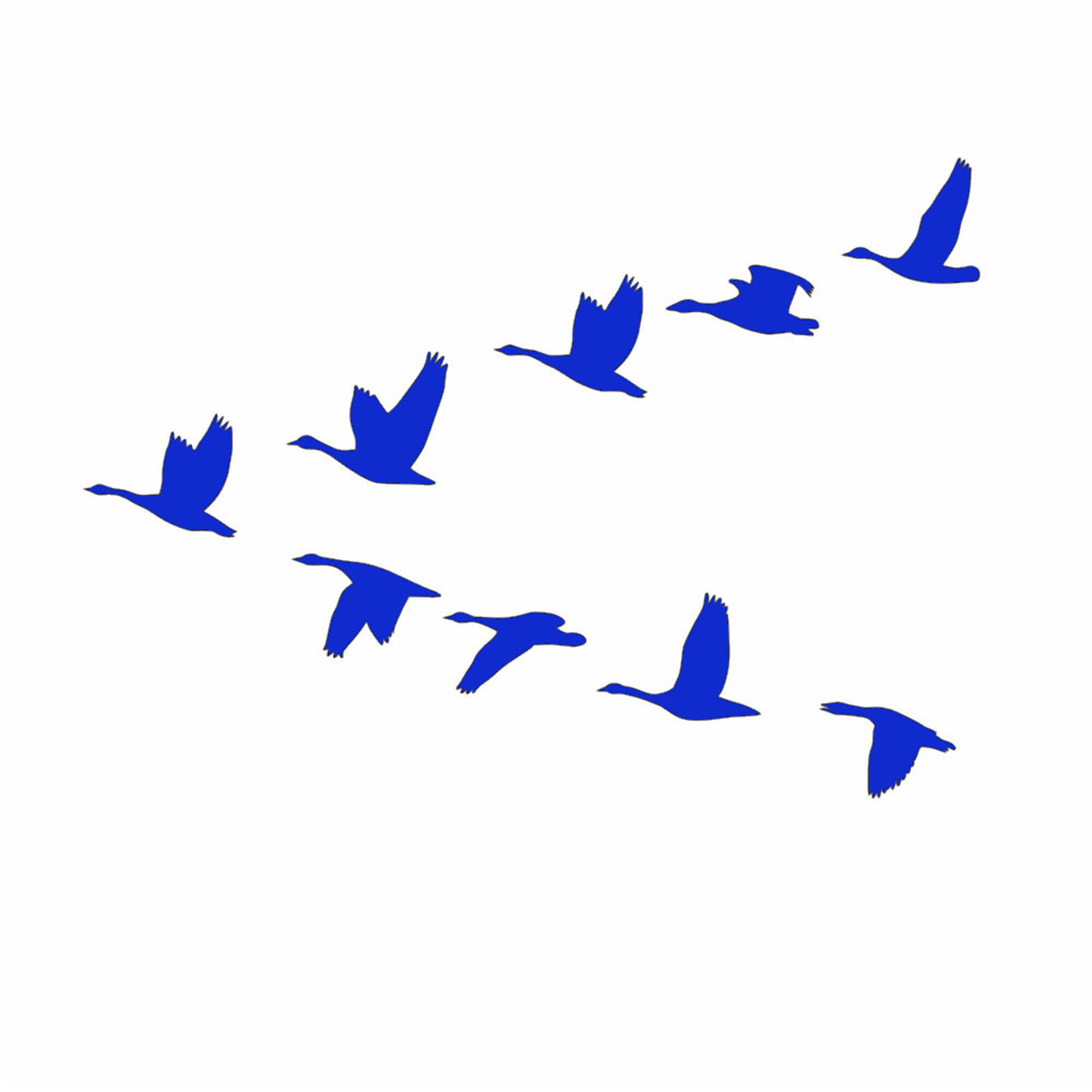 V Formation Birds BIG SIZES Reusable Mylar Stencil or Self | Etsy