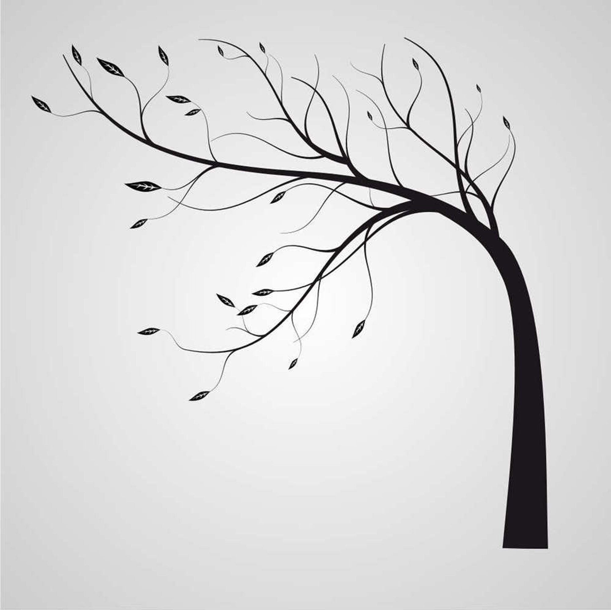 Tree on Wind Reusable Stencil Sizes A5 A4 A3 Craft Flora | Etsy UK