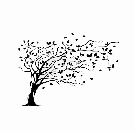 Willow Tree Wind Reusable Stencil Sizes A5 A4 A3 Craft Flora | Etsy