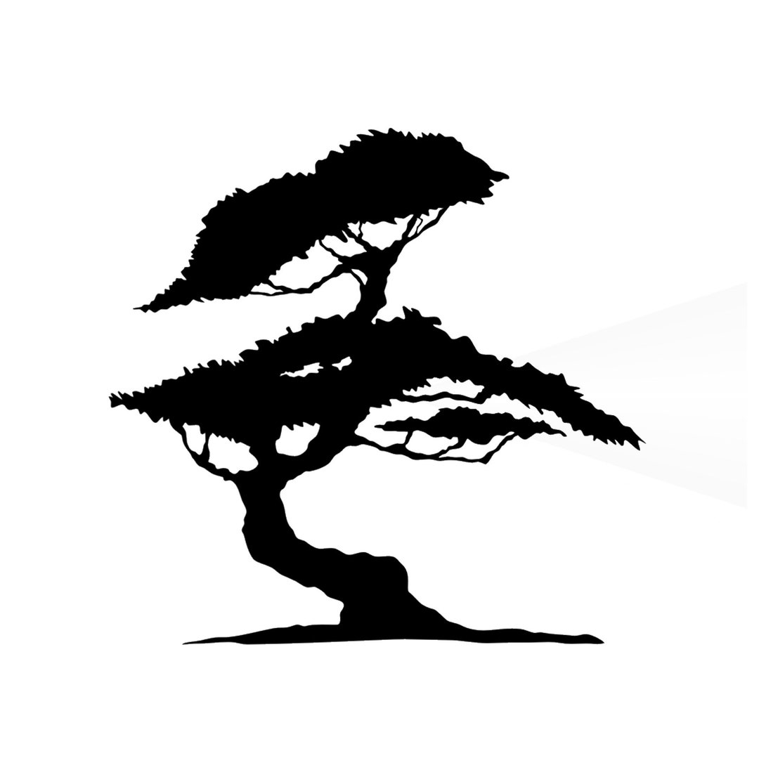 Bonsai Tree BIG SIZES Reusable Mylar Stencil or Self Adhesive Stencil ...