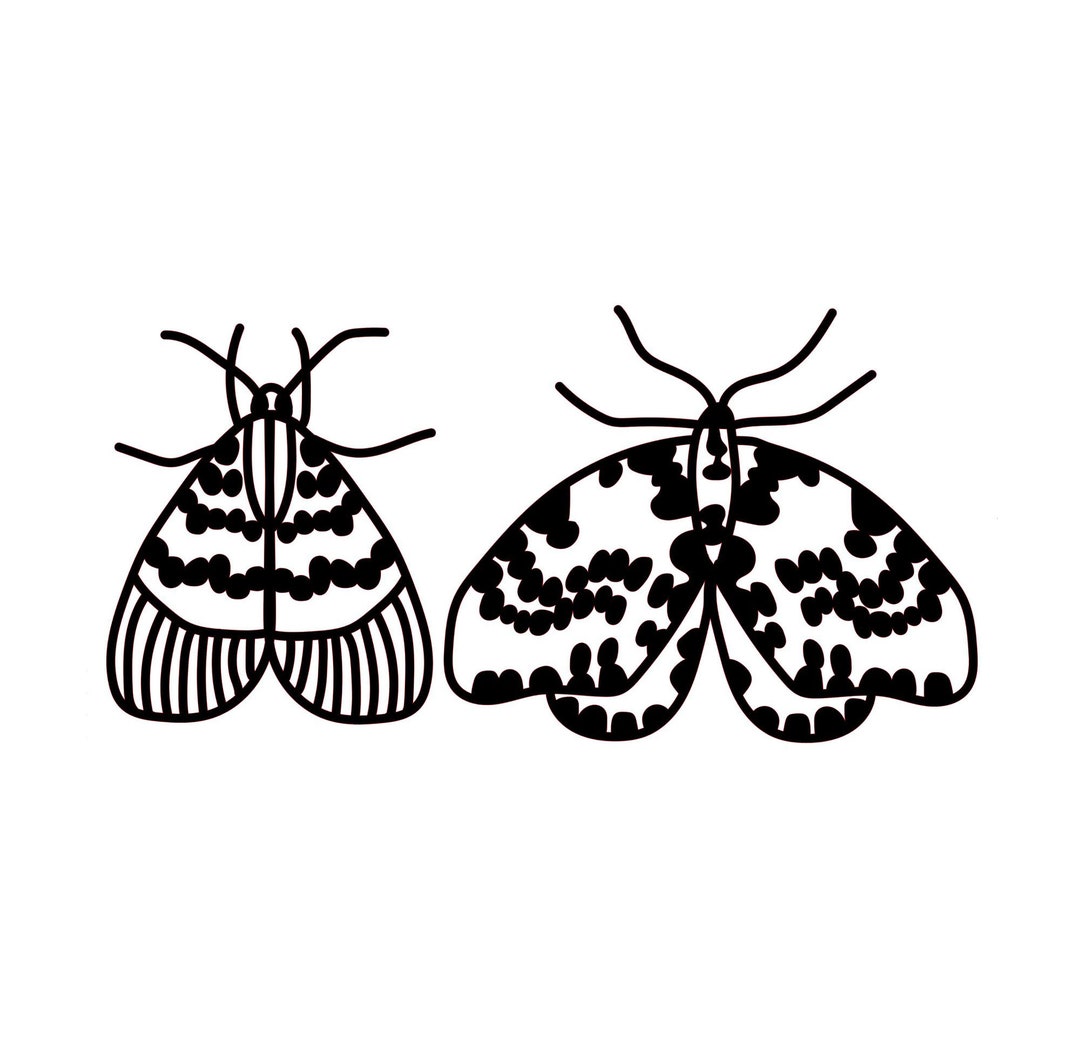 Polilla Mosca Mosca Reutilizable Stencil A5 A4 A3 Insectos Shabby Chic ...