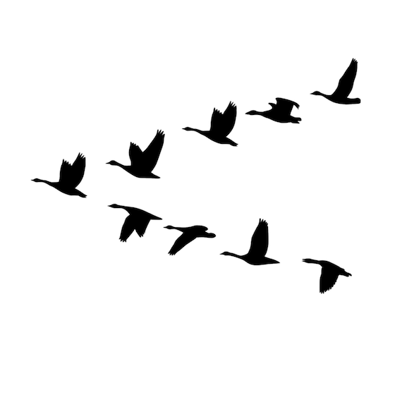 V FORMATION BIRDS Reusable Stencil Sizes A5 A4 A3 Romantic - Etsy