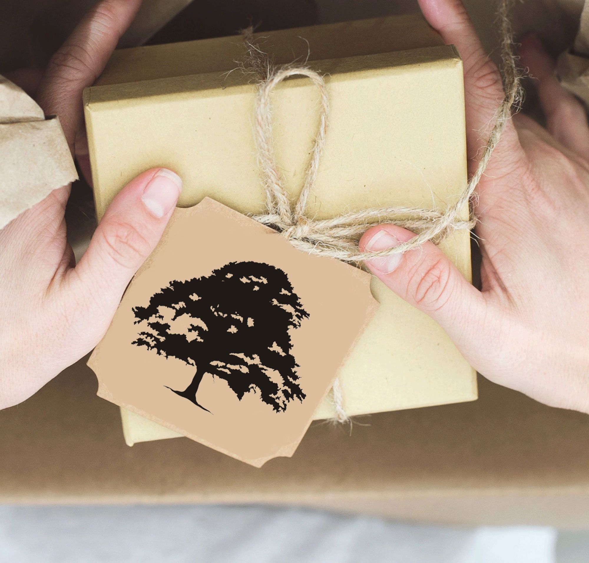 Tree of Life Stencil - Oak, Flora, Nature - Reusable A5 A4 A3 T28 - Etsy