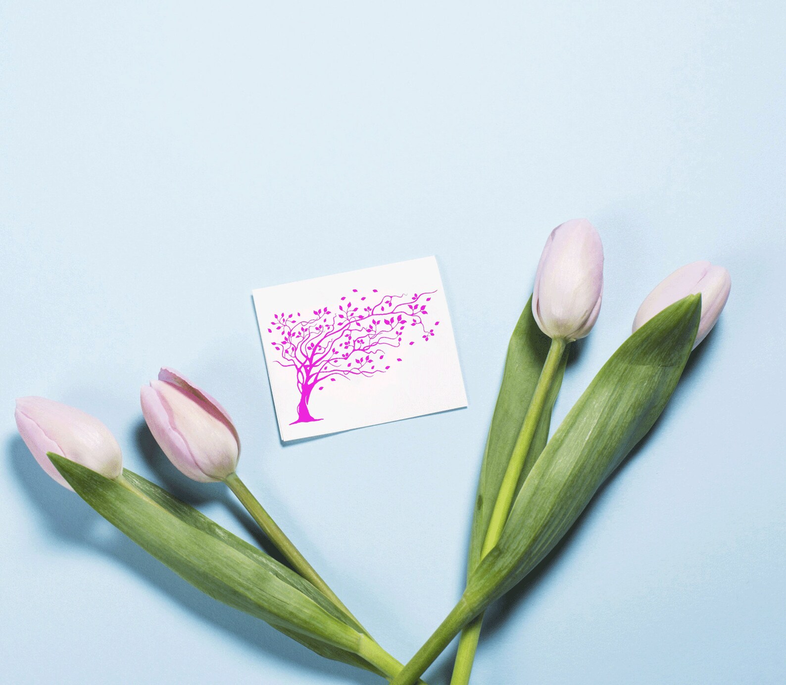 Willow Tree Wind Reusable Stencil Sizes A5 A4 A3 Craft Flora - Etsy UK