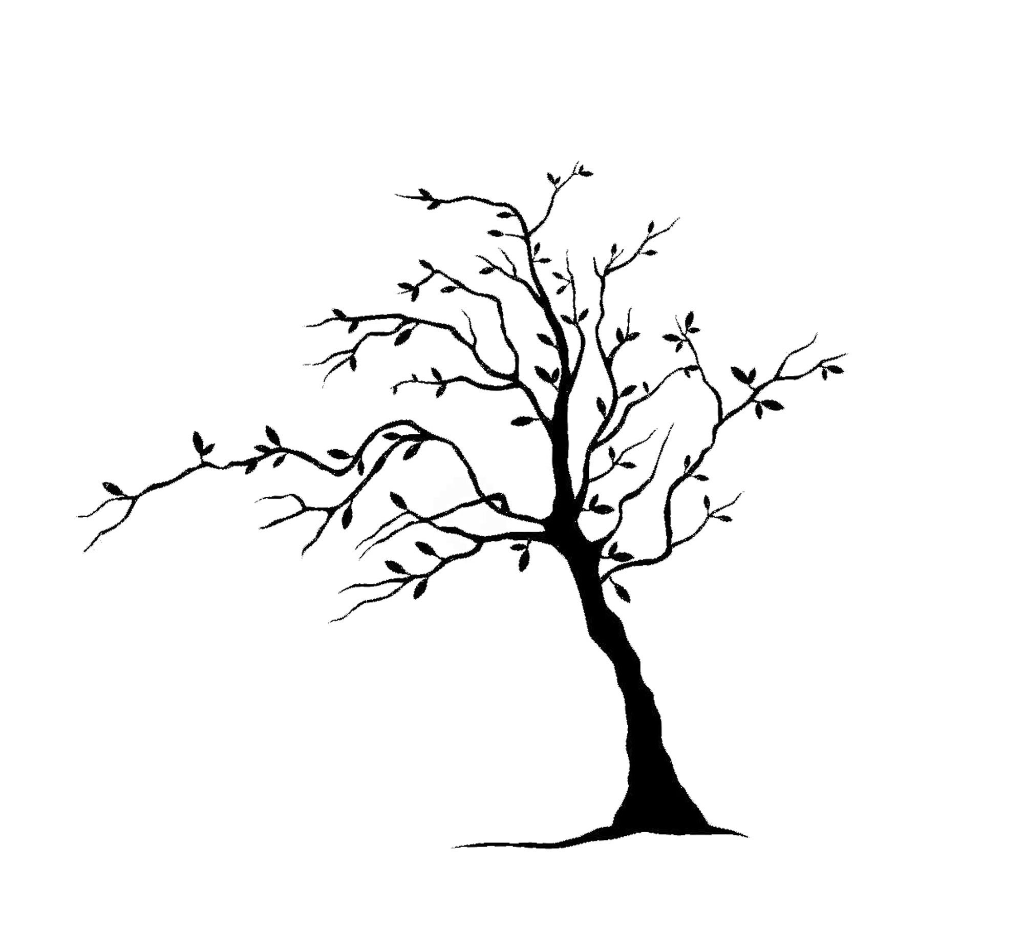 Single Tree Reusable Stencil Sizes A5 A4 A3 Craft Flora Nature - Etsy