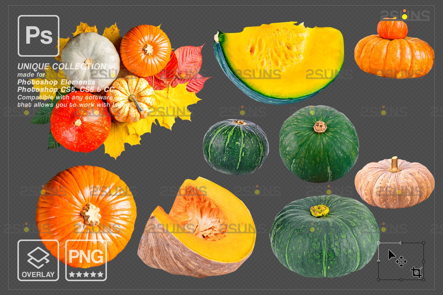 Pumpkins MEGA PACK 159 Halloween Overlay Halloween Photoshop - Etsy